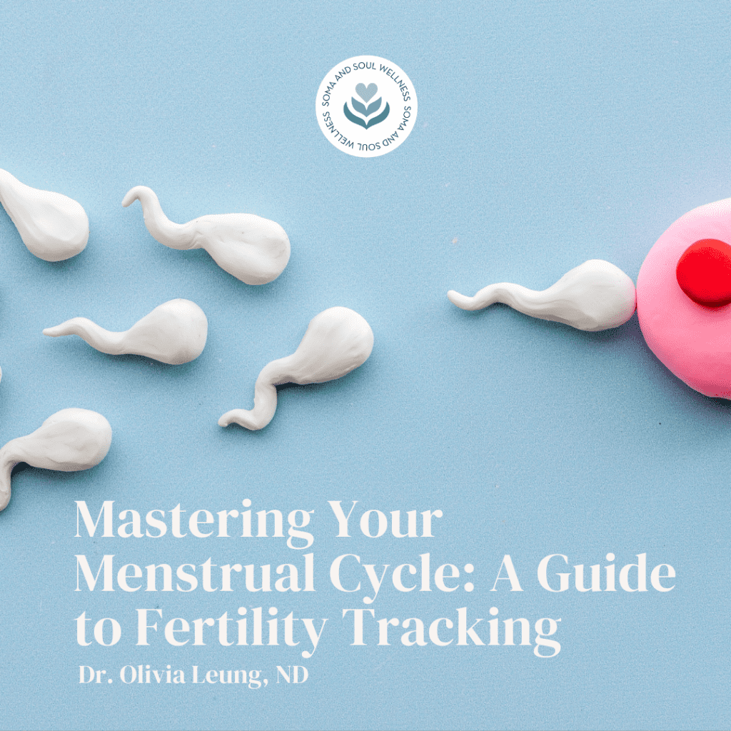 Mastering Your Menstrual Cycle: A Guide to Fertility Tracking